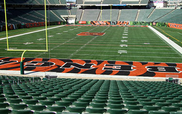 Cincinnati Bengals COA Marketplace Buy & Sell Charter Ownership ...